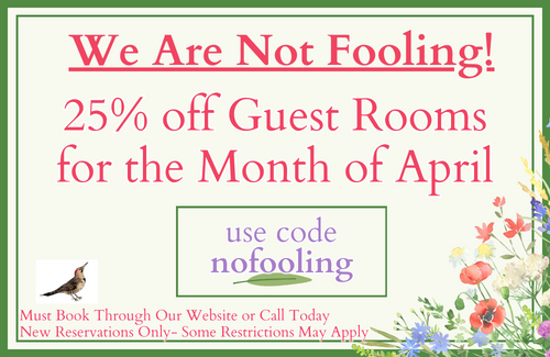 The Old Lyme Inn | Restaurant, Inn, & Jazz Club in CT
